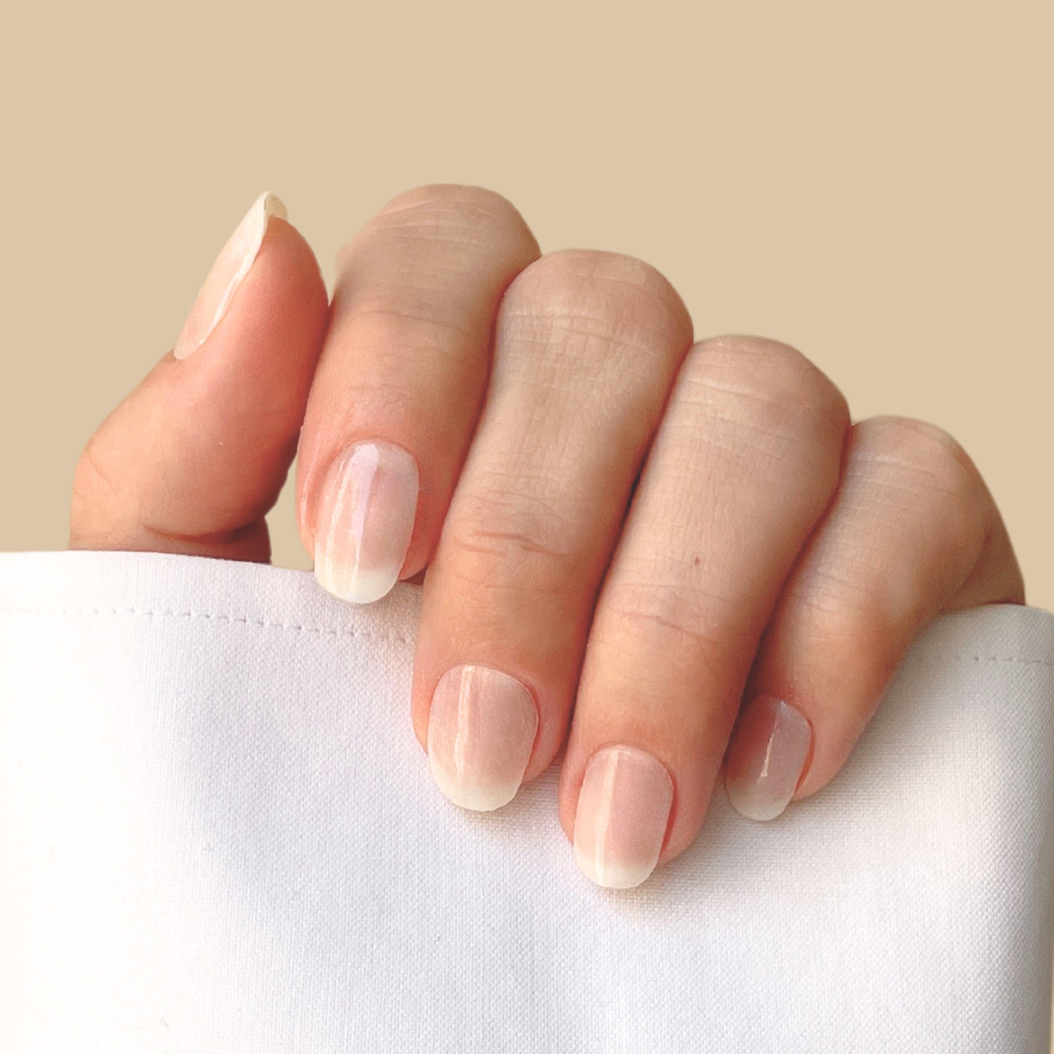 Faded French Ombre Nails | Soft French Ombre Gel Nails | Lehmani